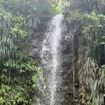 Sea and Land Tour in St. Lucia - The Value of This Tour