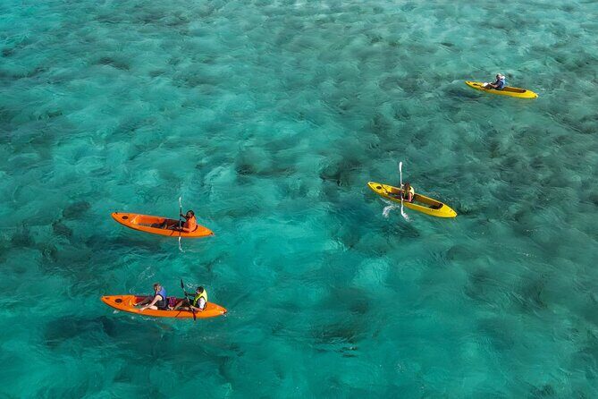 Sea Glass Island and Clear Kayak Adventure - Who Should Consider This Tour?