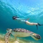 Sea Turtle Snorkel Tour - Final Thoughts: Is It Worth It?