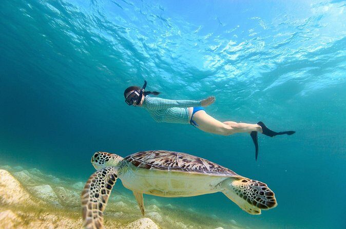Sea Turtle Snorkel Tour - Final Thoughts: Is It Worth It?