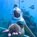 SeaTrek Tour St. Maarten - Authentic Traveler Insights