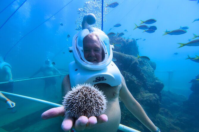 SeaTrek Tour St. Maarten - Authentic Traveler Insights