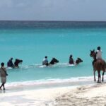 Secret Falls, Blue Hole, and Horseback Riding from Ocho Rios - Itinerary Breakdown: What to Expect