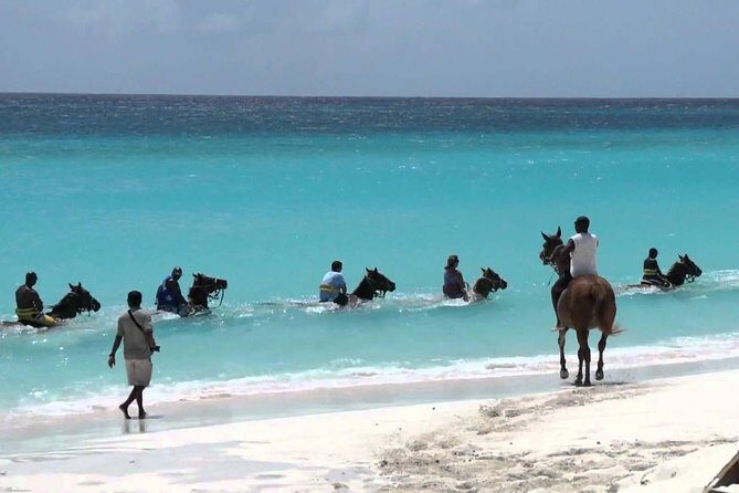 Secret Falls, Blue Hole, and Horseback Riding from Ocho Rios - Itinerary Breakdown: What to Expect