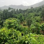 Secret Pool Hike Along the Kalinago Canoe Trail - Who Will Love This Tour?