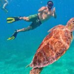 Self Guided Experience of Culebra with Transfer from San Juan - In-Depth Breakdown of the Itinerary