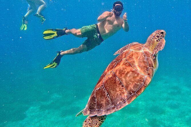 Self Guided Experience of Culebra with Transfer from San Juan - In-Depth Breakdown of the Itinerary