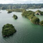 Shared 10-12 Hours Tour in Los Haitises National Park - Authentic Encounters and Authenticity