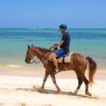 Shared horseback riding Punta Cana Beach - The Logistics: What Travelers Should Know