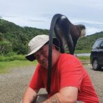 Shared Island Tour with Lunch & Admissions - Why This Tour Works Well