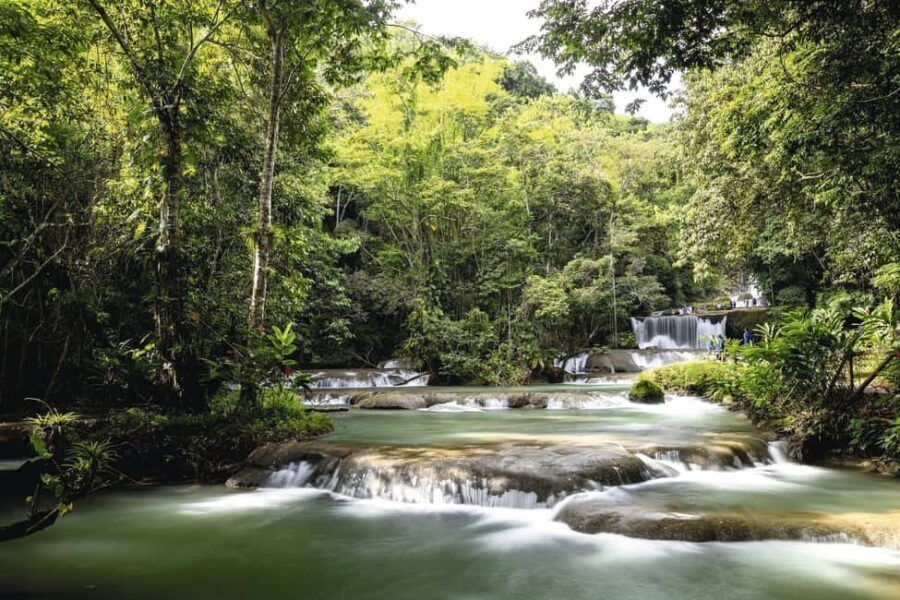 Shared or Private FD Appleton Rum, YS Falls & Pelican Bar - Who Should Consider This Tour?