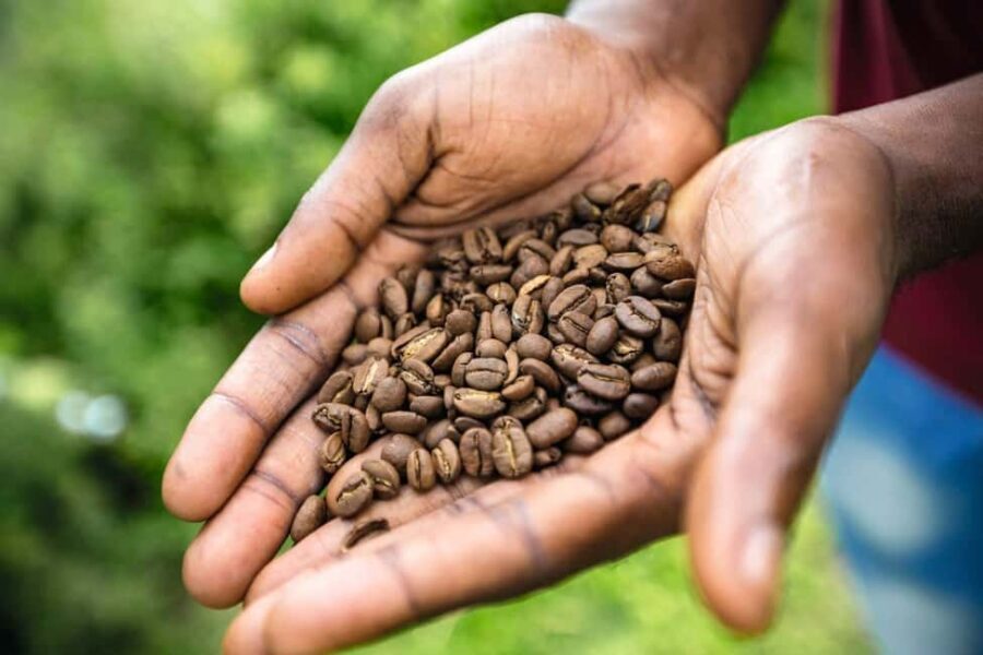 Shared/Private Full Day Blue Mountains Tour -Top Attractions - The Sum Up