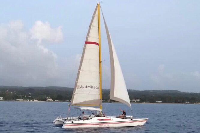 Shasa Catamaran Cruises Limited Numbers 3 Hour Sail and Snorkel - The Value of the Tour