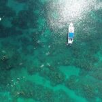 Shipwreck Snorkel in Bermuda - The Marine Environment and Safety