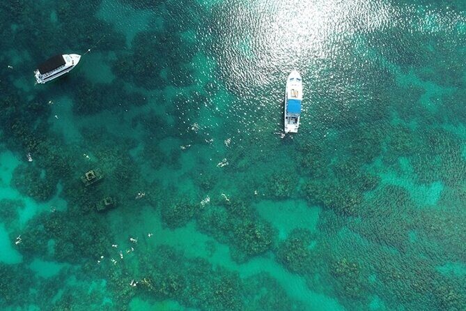Shipwreck Snorkel in Bermuda - The Marine Environment and Safety