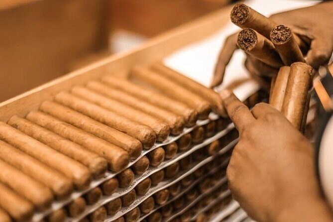 Shopping Tour Punta Cana with private transportation - Final Thoughts