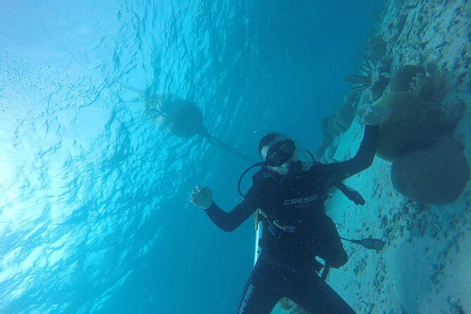 Shore Dive Aruba for Certified Divers - Facilities and Convenience
