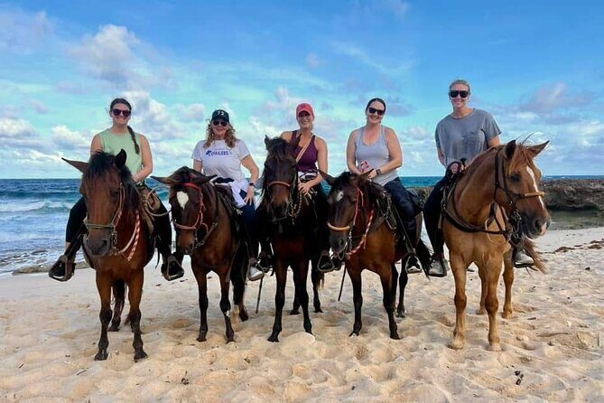 Shore Excursion Arubas Ecological and Beach Horseback Riding - Who Will Love This Tour?