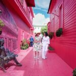 Shore Excursion Monkey Encounter and Puerto Plata City Tour - The Heart of the Tour: Monkey Encounter