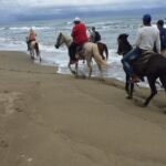 Short Excursion horseback riding tours on the beach and mountain - The Sum Up