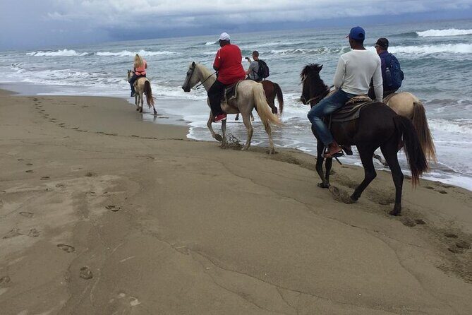 Short Excursion horseback riding tours on the beach and mountain - The Sum Up