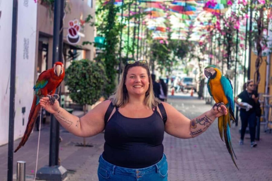 Short Excursions City Tour and 27 Waterfall Damajagua - The Itinerary Breakdown