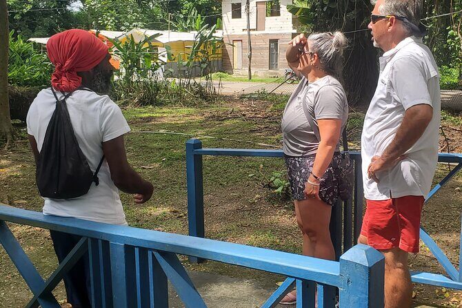 Sight seeing tour through the hills of JAMAICA - The Sum Up