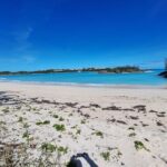 Sightseeing Shopping and Beach Tour - The Sum Up: Is this tour right for you?