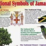 Sightseeing Tour in Ocho Rios - What Makes This Tour Stand Out?
