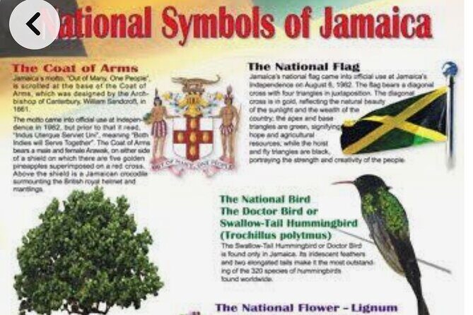 Sightseeing Tour in Ocho Rios - What Makes This Tour Stand Out?