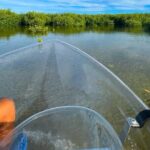 Sip & Sea Mangrove Glass Boat Tour Grand Turk Island - Who Is This Tour Best For?