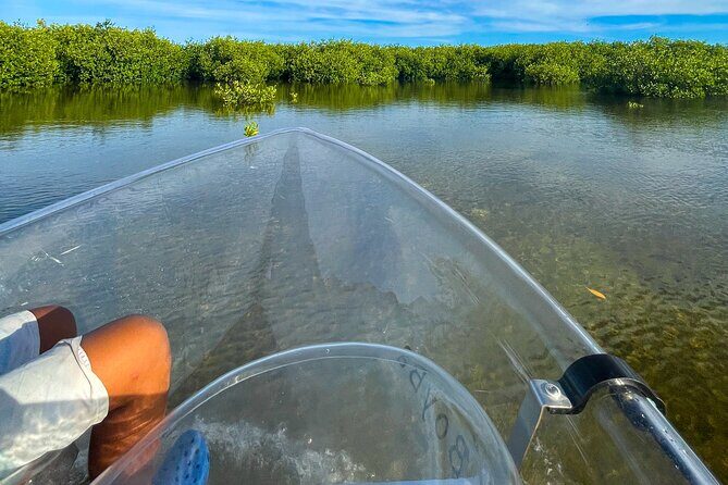 Sip & Sea Mangrove Glass Boat Tour Grand Turk Island - Who Is This Tour Best For?