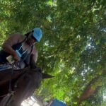 Skip the line Atv, Horse Back Riding and Zipline from Montegobay - Pricing & Value
