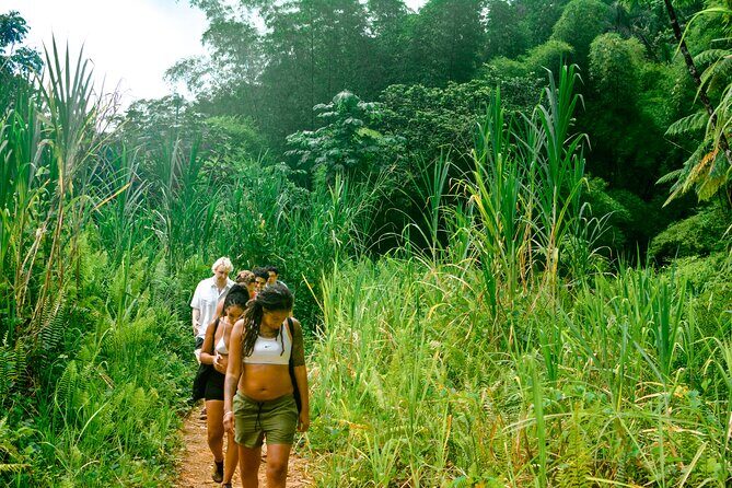 Small-Group El Yunque Rainforest Vivid Day Tour with Transport - What Travelers Say: Authentic Perspectives