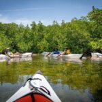 Small Group Glass Bottom Kayak Adventure- Cayman Islands - FAQs