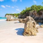 Small Group: Half-Day Cultural Tour of Punta Cana - Exploring the Itinerary: What You Can Expect