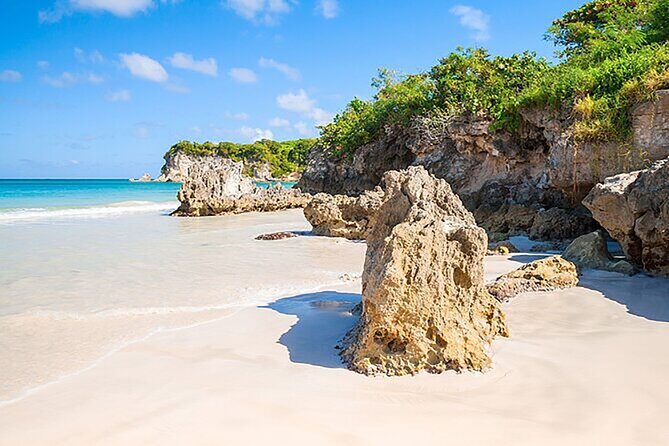 Small Group: Half-Day Cultural Tour of Punta Cana - Exploring the Itinerary: What You Can Expect