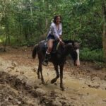 Small-Group Half-Day Horseback Riding Tour from Punta Cana - Authentic Experiences and Real-World Feedback