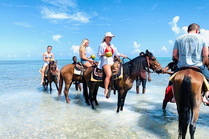 Small Group Horseback Riding Adventure in Caicos Islands - The Ride Itself: What to Expect
