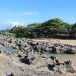 Small-Group North Coast Beach Hopping Adventure in Puerto Rico - Pricing and Value Considerations