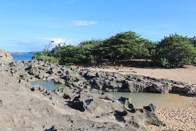 Small-Group North Coast Beach Hopping Adventure in Puerto Rico - Pricing and Value Considerations