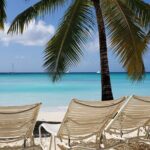 Small Group: Saona Island Full Day Tour - Transportation and Timing: Why It Matters