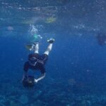 Small-Group Sea Scooters Snorkel at Mangel Halto Beach in Aruba - The Itinerary: A Closer Look