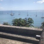 Small-Group Tour: Unmissable Martinique with St Pierre and More - Who Should Consider This Tour?