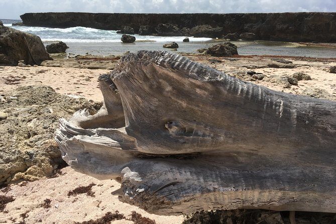 Snorkel and Beach Adventure Tour - What’s Included and What to Consider