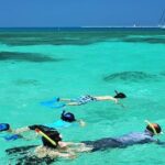 Snorkel and Private Tour in Montego Bay - A Closer Look: What to Expect from This Snorkel and Private Tour