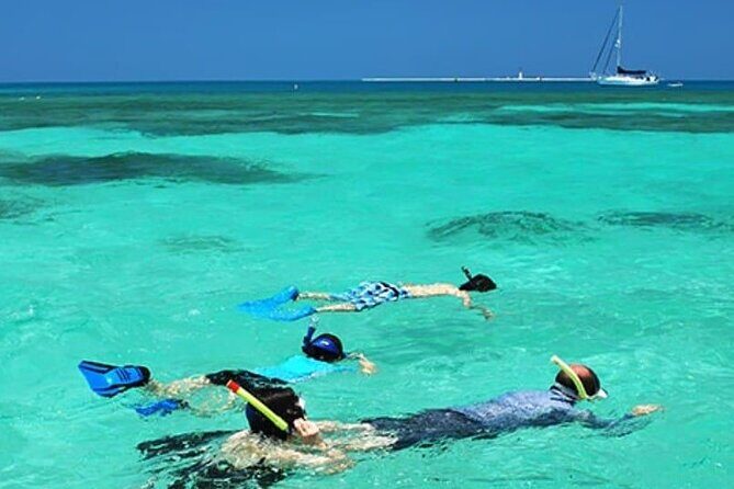 Snorkel and Private Tour in Montego Bay - A Closer Look: What to Expect from This Snorkel and Private Tour
