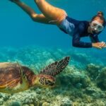 Snorkel and Sunset Cruise from Margaritaville Resort - Practical Details & Considerations