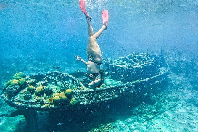 Snorkel Cruise with BBQ Lunch and Open Bar - An In-Depth Look at the Experience