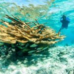 Snorkel Eco Tour - Final Thoughts